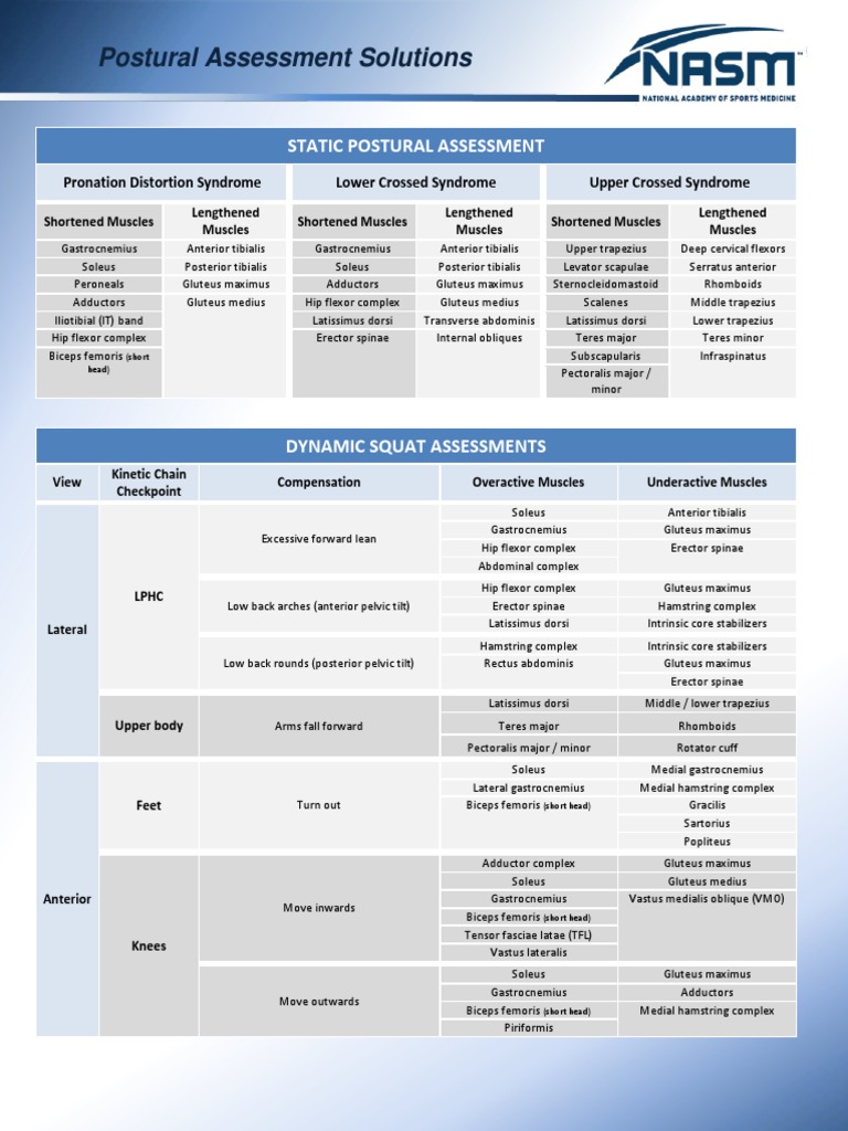 NASM Postural Assessment Solutions | PDF | Pelvis | Anatomical Terms Of ...