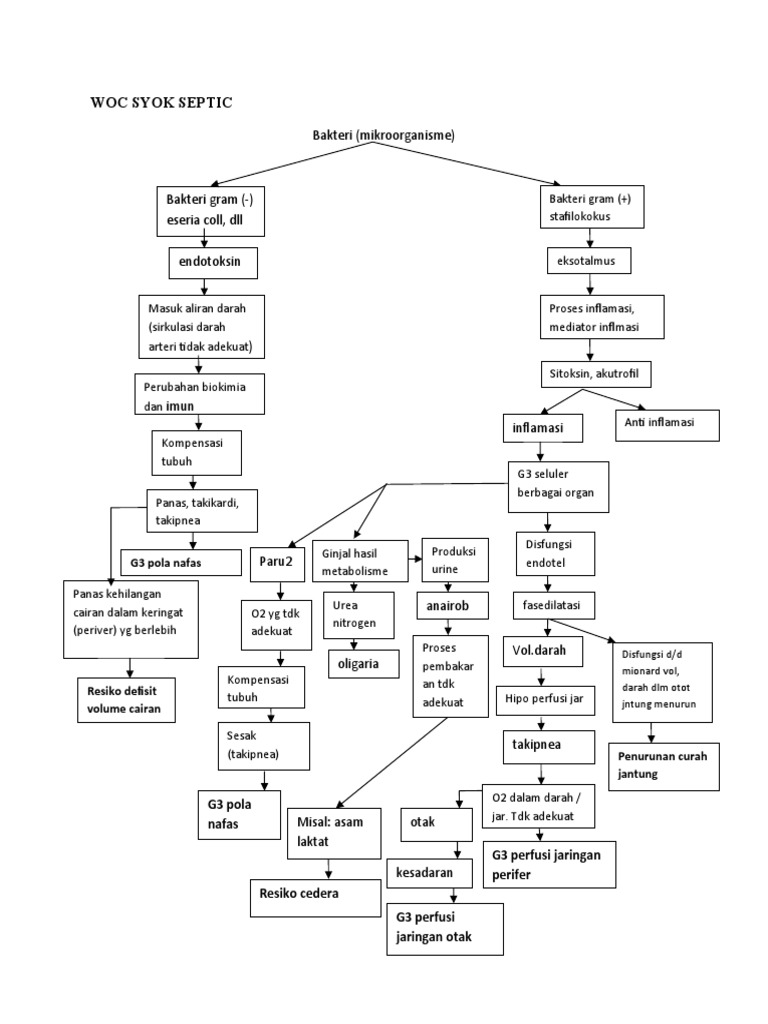 Woc Syok Septic | PDF