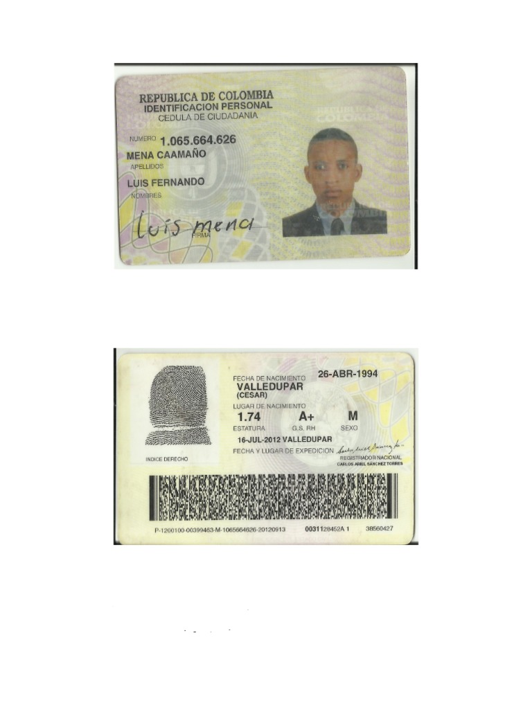 Cedula Luis Mnea PDF | PDF