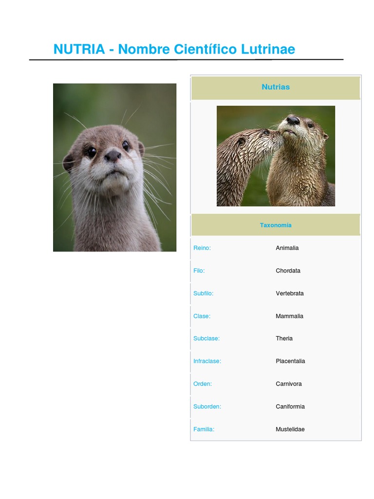 Nutrias | PDF | Nutria | Organismos