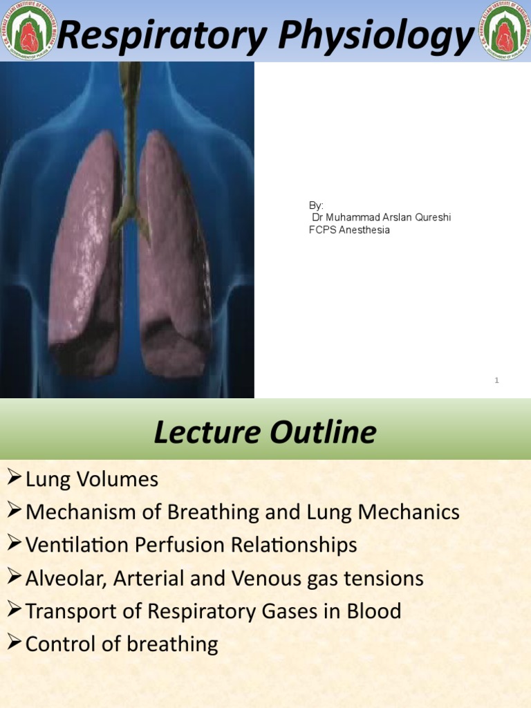 Respiratory Physiology | PDF | Lung | Breathing