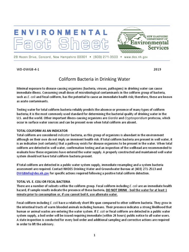 Coliform Bacteria in Drinking Water PDF | PDF | Public Health | Water