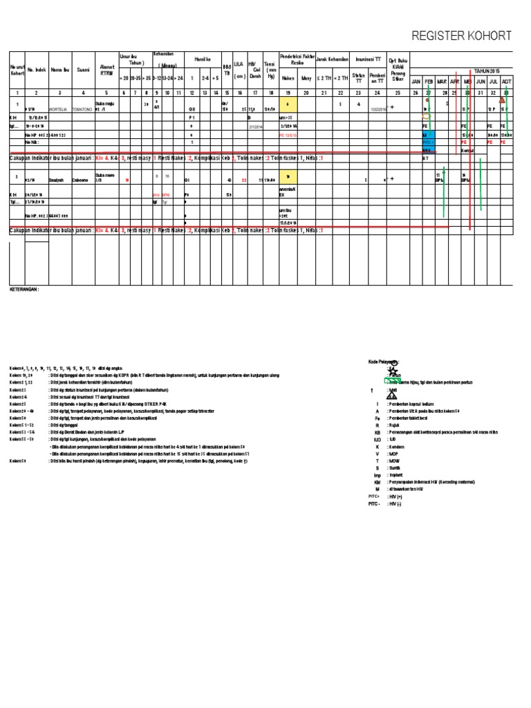 Form Kohort Ibu Dan Ppia | PDF