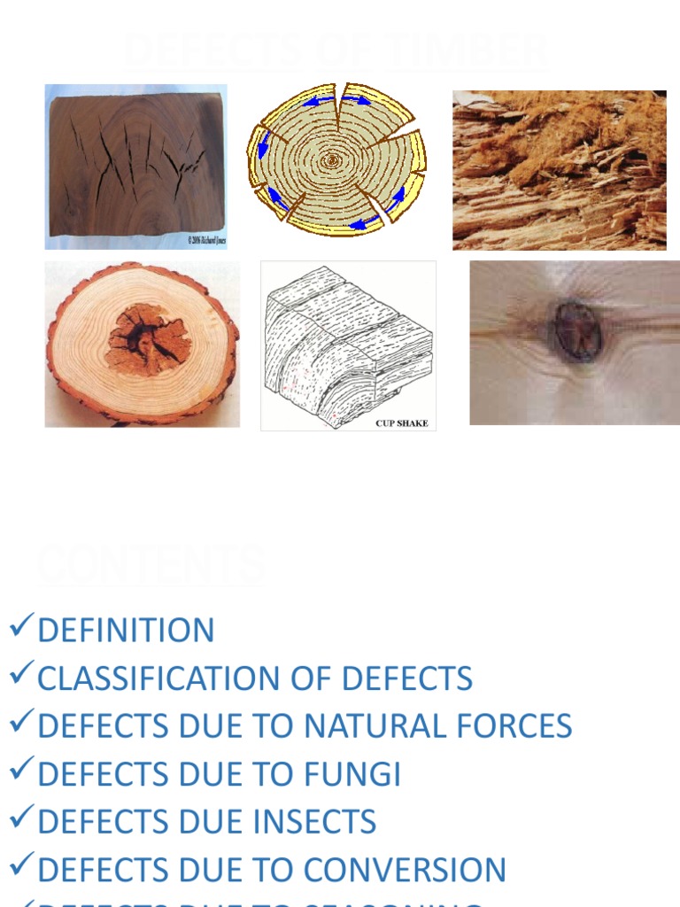 Defects of Timber | PDF | Wood | Decomposition