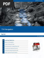 Develop T24 Packages, Plugins and Code | PDF | Web Service | Databases
