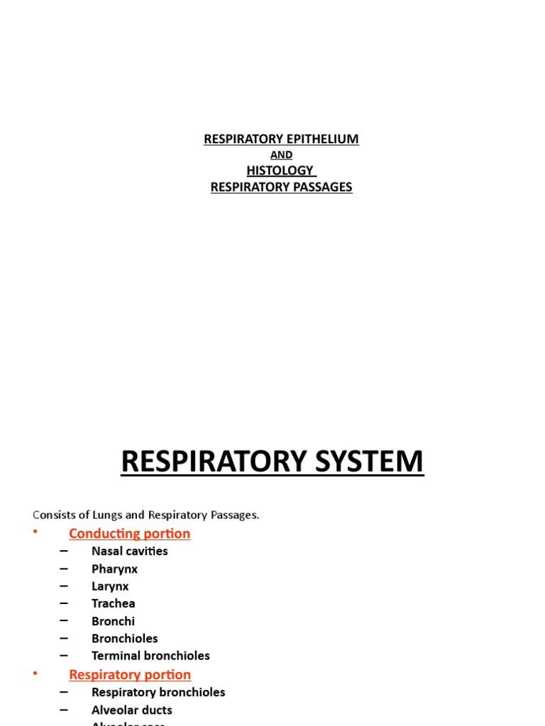 Complete Histology Of Respiratory System Pdf Respiratory Tract