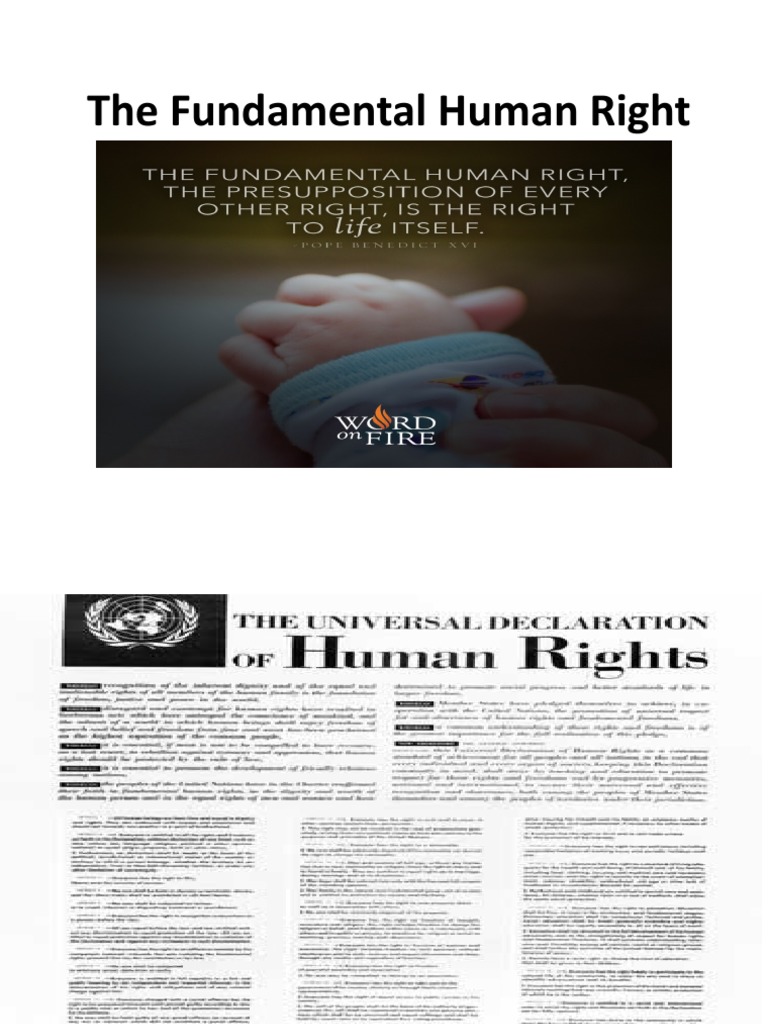 Understanding Human Rights and Genocide | PDF | Politics | Social Science