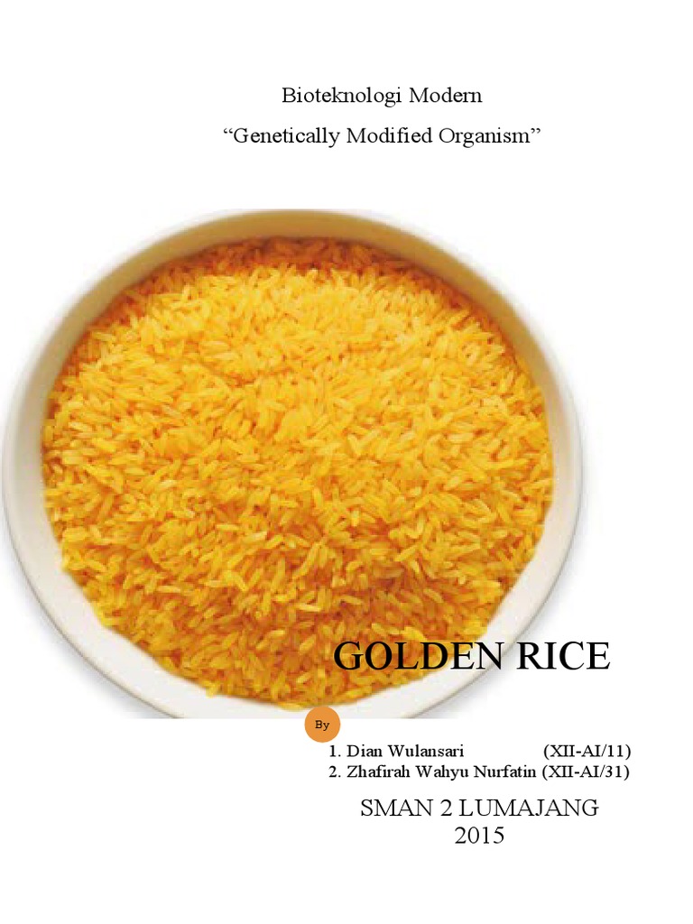 Golden Rice | PDF