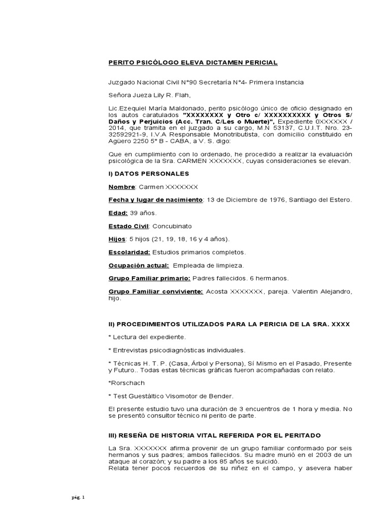 Modelo Informe Pericial | PDF | Las emociones | Sicología