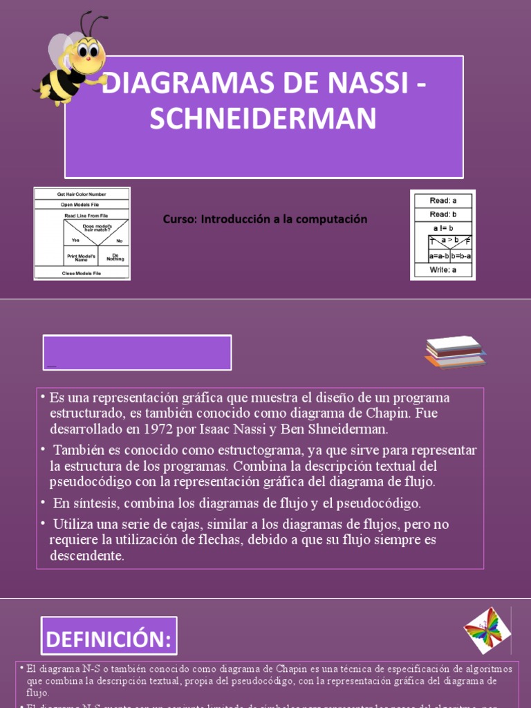 Diagramas de Nassi - Schneiderman | PDF | Algoritmos | Lenguaje de programación