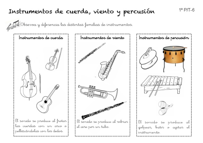 T-6 - Instrumentos de Cuerda, Viento y Percusión | PDF