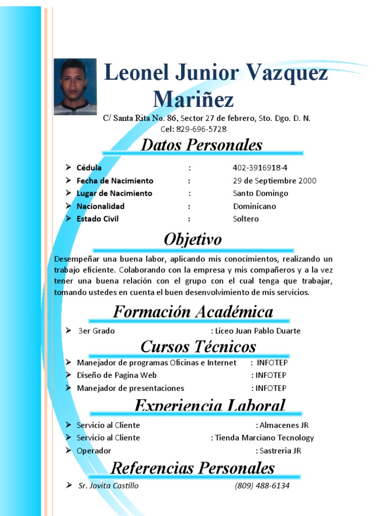 Perfil Profesional de Leonel Vázquez | PDF