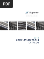 SLB Packer Catalog PDF | PDF | Casing (Borehole) | Drilling Rig