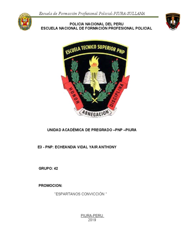 Informe Escuela PNP Piura-Sullana 2019 | PDF | Policía | Derecho penal