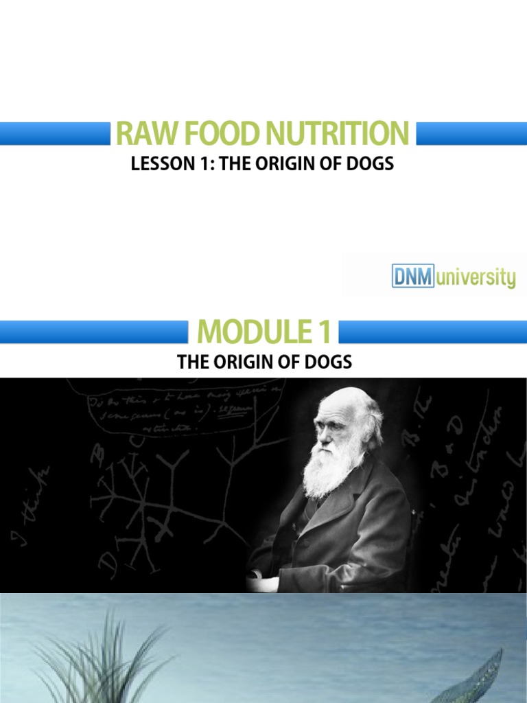 Module 1 Lesson 1 PDF | PDF