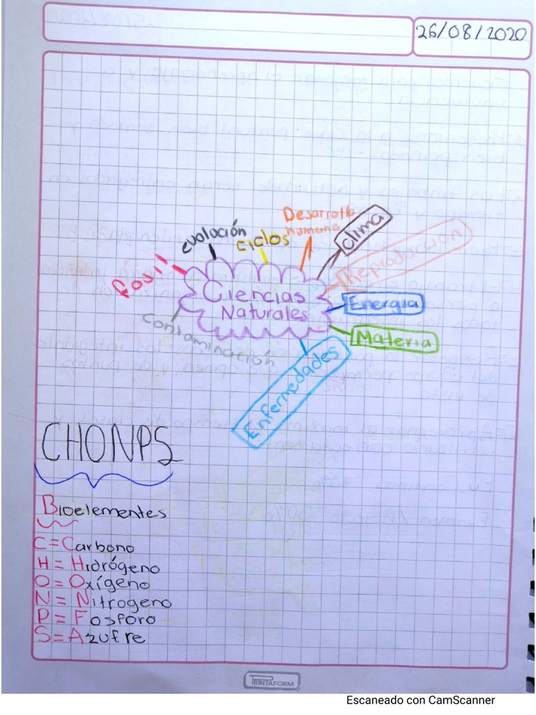 Investigacion Chonps | PDF