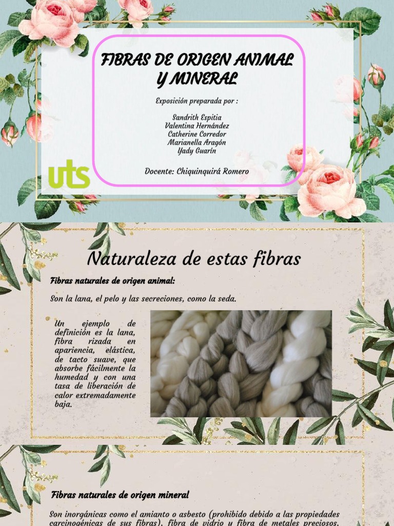 Fibras Naturales: Animal y Mineral | PDF | Seda | Amianto