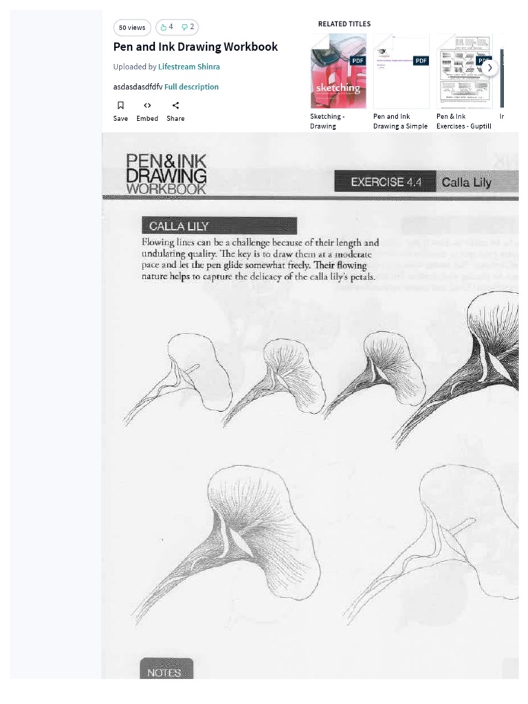 Pen and Ink Drawing Workbook | PDF | Art Media | Office Work