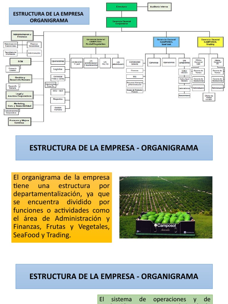 Estructura de La Empresa - Organigrama | PDF