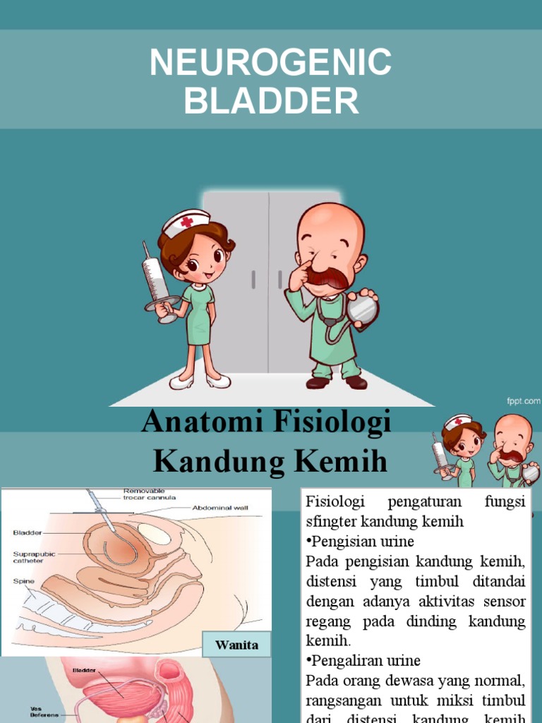 Neurogenic Bladder | PDF