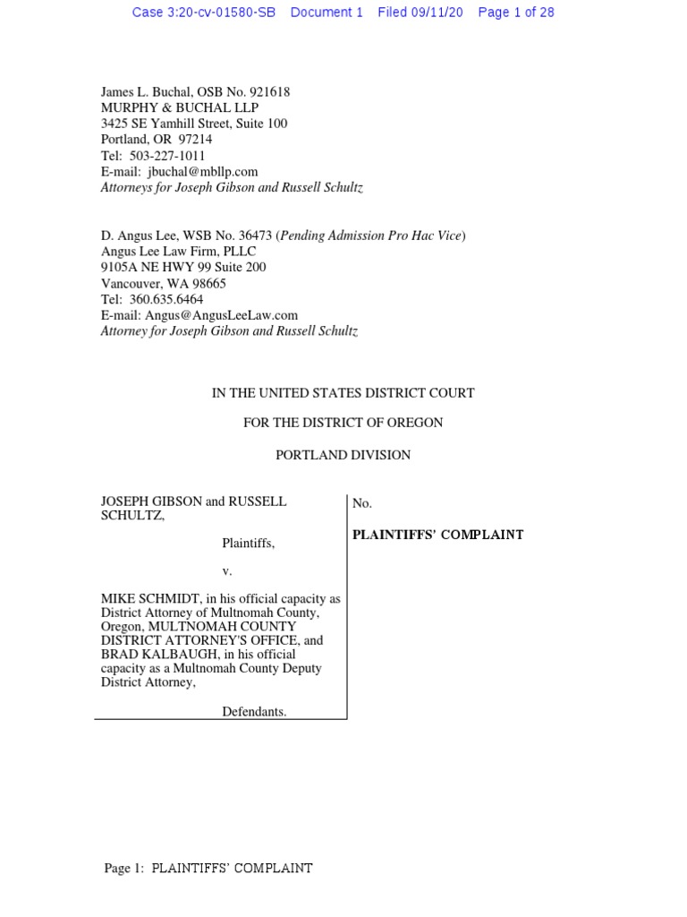 Gibson V Schmidt | PDF | Discovery (Law) | Complaint
