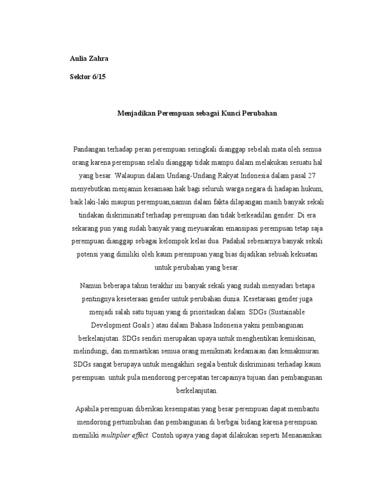 Essai SDGs Fix | PDF