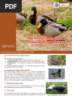 Kabary Malagasy | PDF