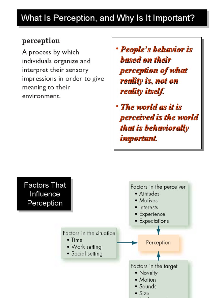 What Is Perception, and Why Is It Important? | PDF | Bias | Perception