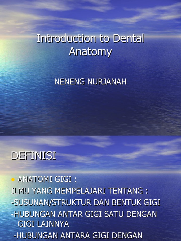 Introduction Dental Anatomi | PDF