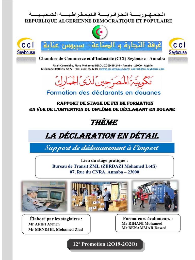 Déclaration en détail : Guide douanier | PDF | Commerce | Business