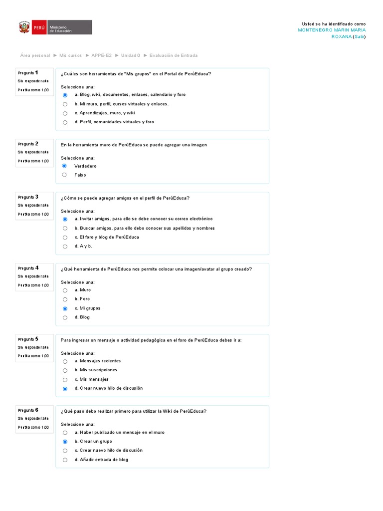 Evaluación de Entrada CURSO PERUEDUCA | PDF | Blog | Foro de Internet