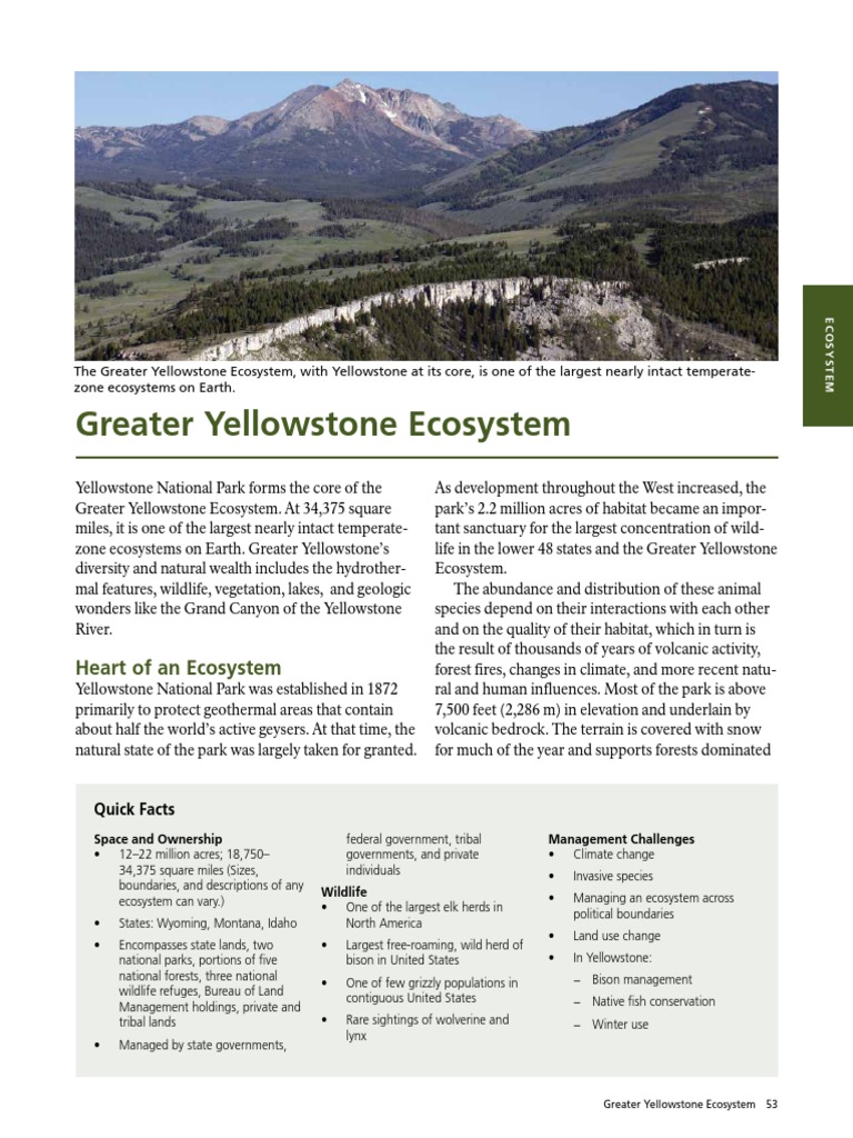 Greater Yellowstone Ecosystem: Heart of An Ecosystem | PDF ...
