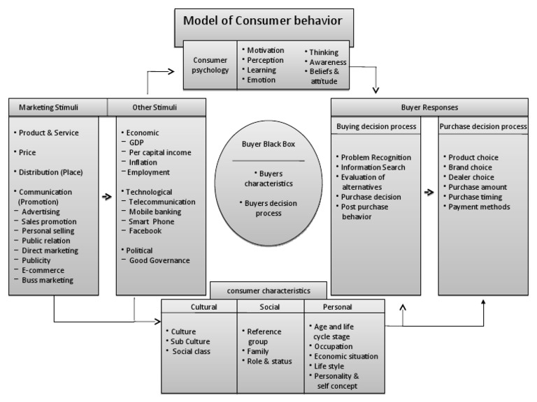 Buyer Behavior Model | PDF | Consumer Behaviour | Behavior