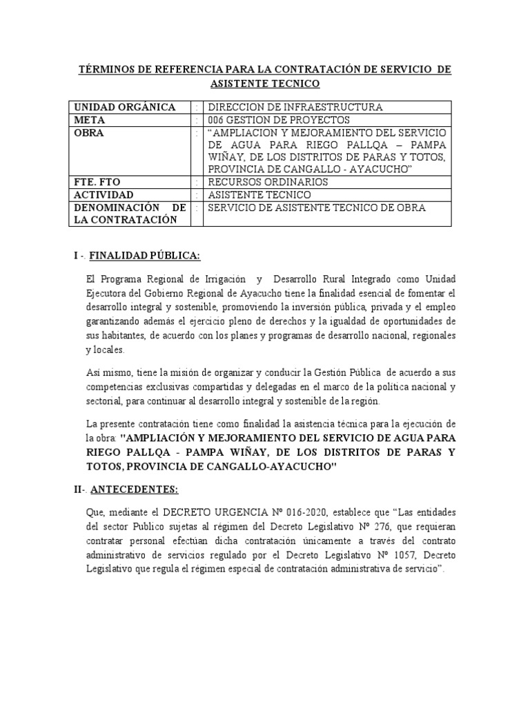 Tdr-Asistente Tecnico | PDF | Administración Pública | Gobierno