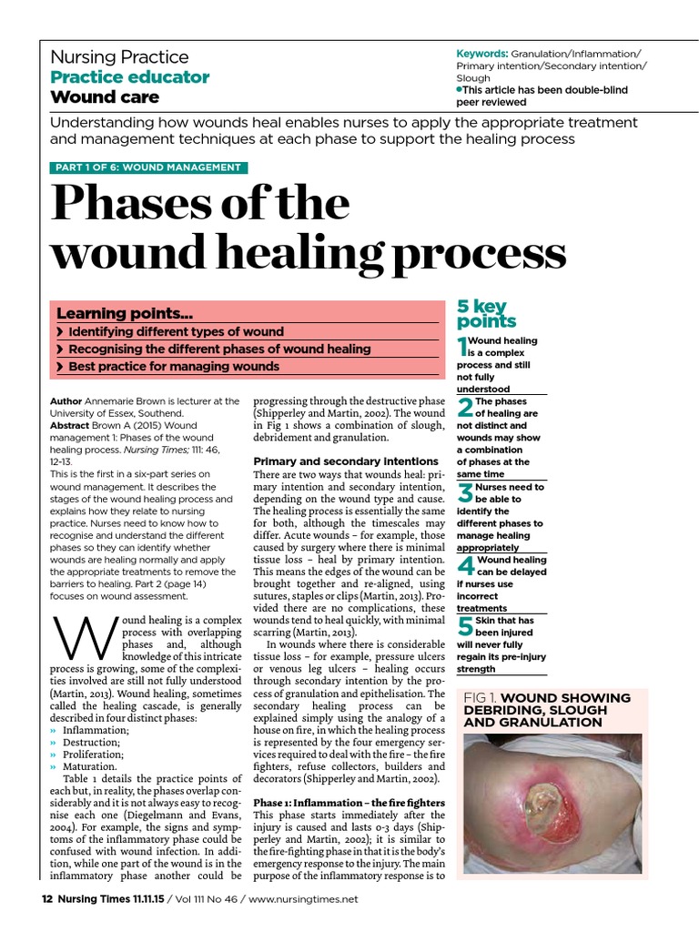 Understanding the Phases of Wound Healing: A Foundation for Effective ...