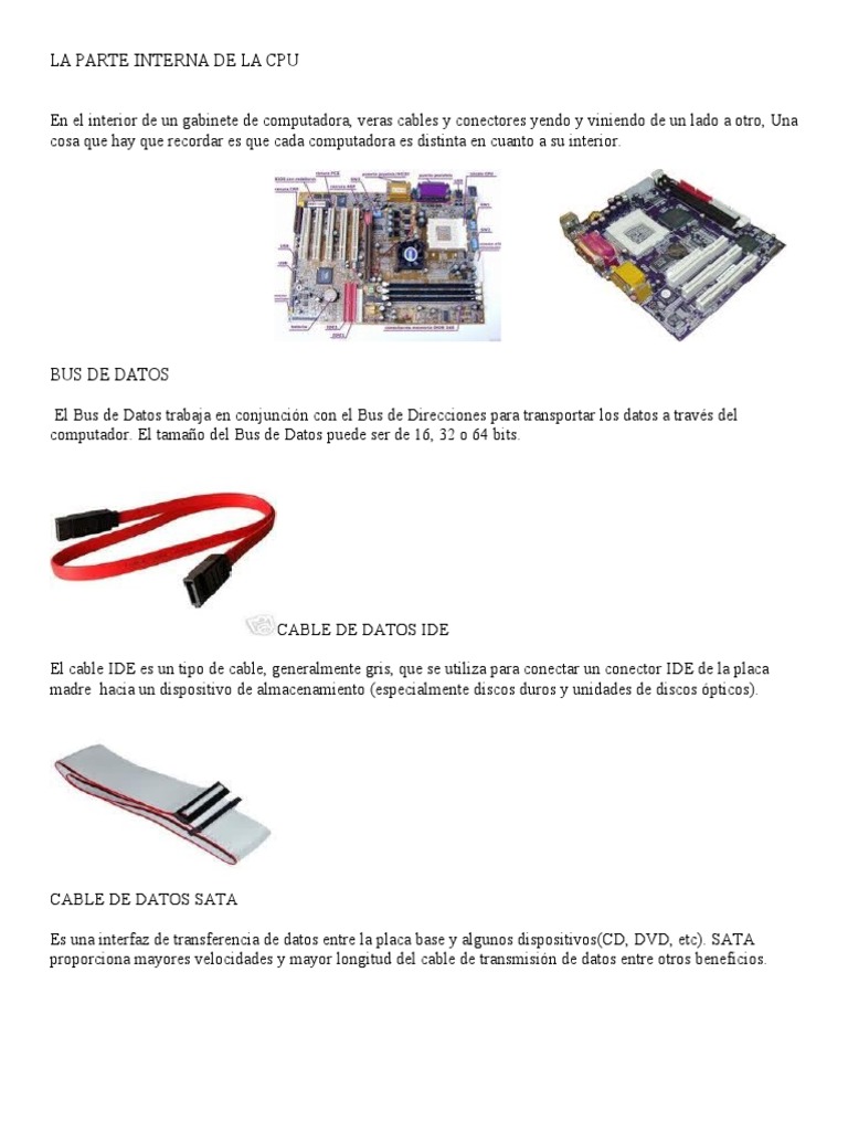 30 Partes Interna de La Cpu | PDF | Periférico | Hardware de la computadora