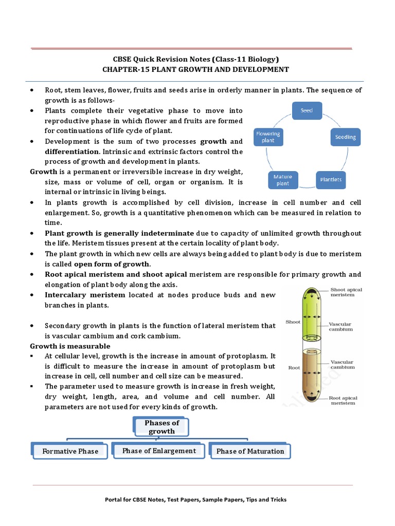 Class 11 Plant Growth Overview | PDF | Plant Hormone | Auxin