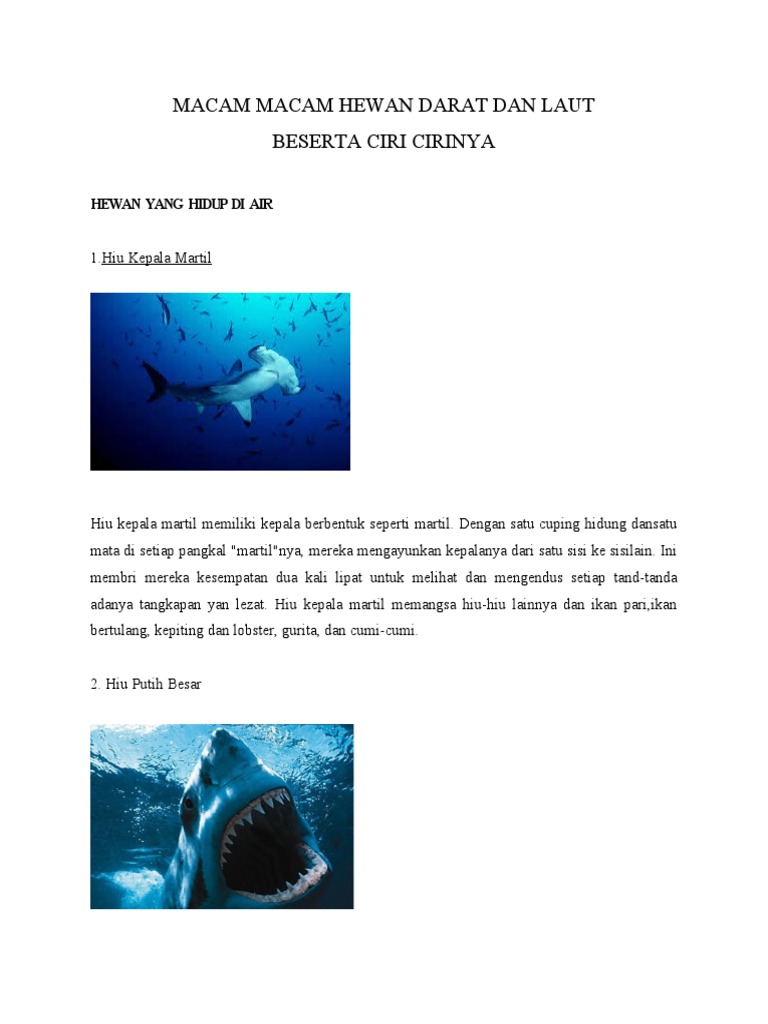 Macam Macam Hewan Darat Dan Laut | PDF