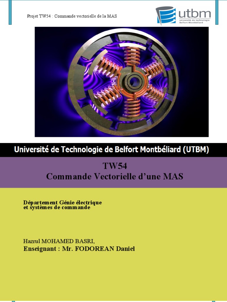 Commande Vectorielle MAS | PDF | Champ magnétique | Électromagnétisme