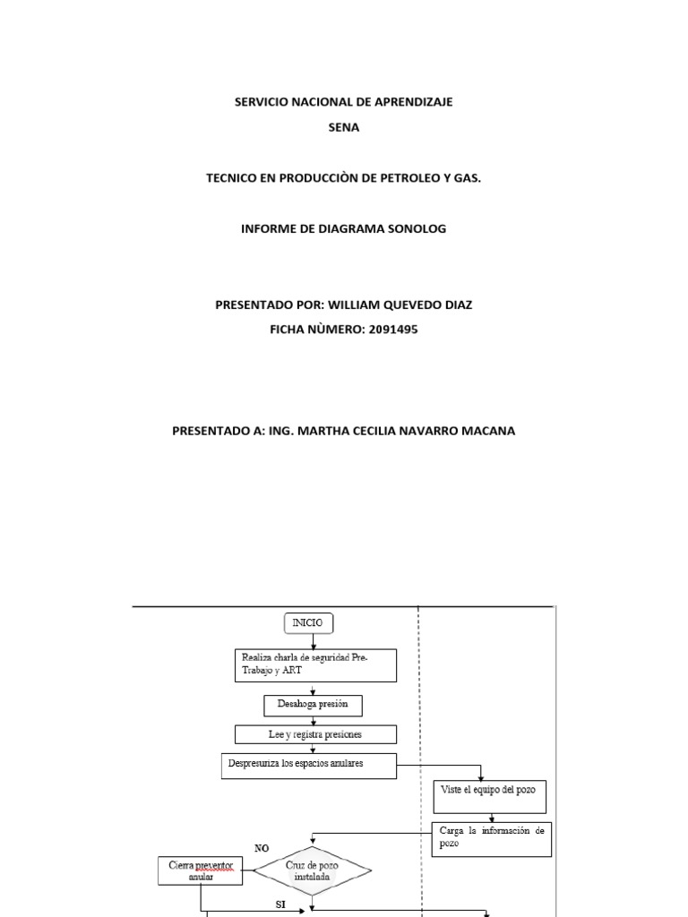 Informe Diagrama Sonolog SENA | PDF | Tecnología