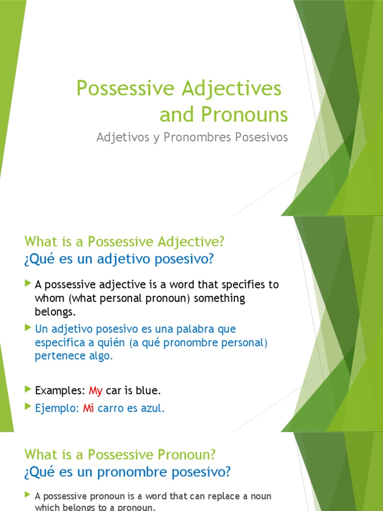 Possessive Adjectives & Pronouns | PDF