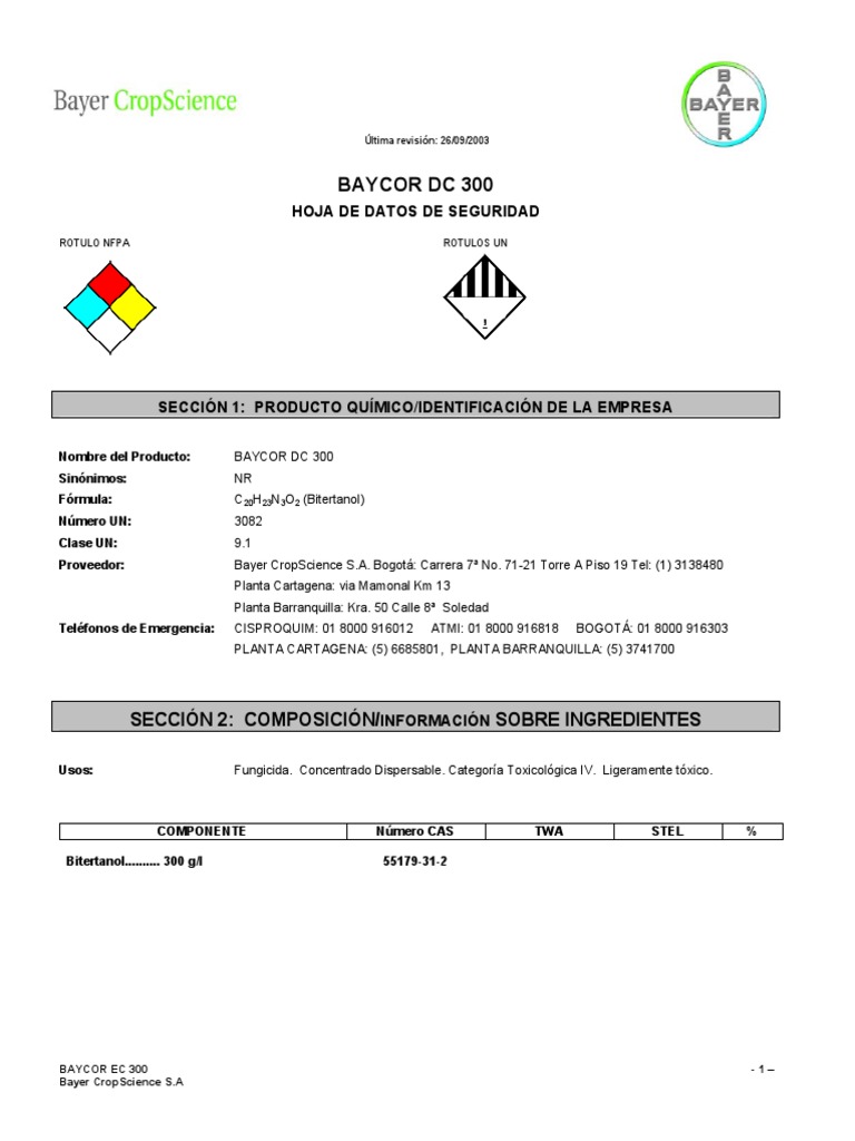 Baycor DC 300 | PDF | Combustión | Hidrógeno