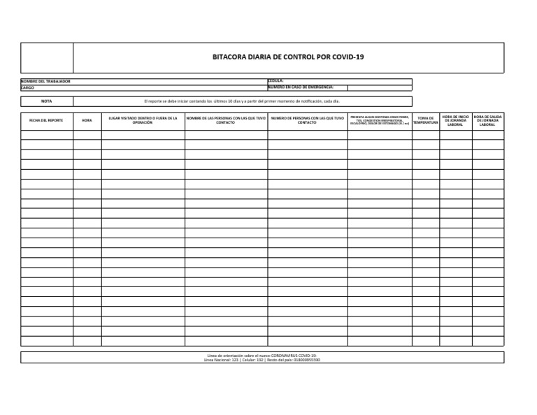 Bitacora Control Diario | PDF