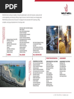DWOP: Optimizing Well Planning | PDF | Emergency Management | Engineer