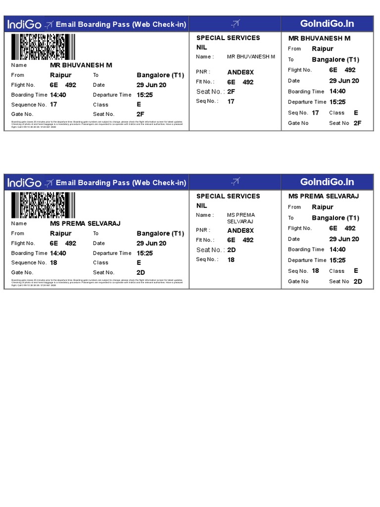 Boarding passes for two passengers on IndiGo flight 6E 492 from Raipur ...