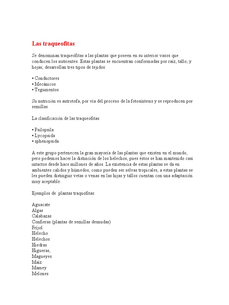 Las Plantas Traqueofitas | PDF