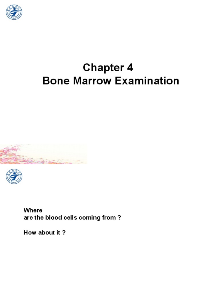 3 Bone Marrow Examination | PDF | Leukemia | Bone Marrow