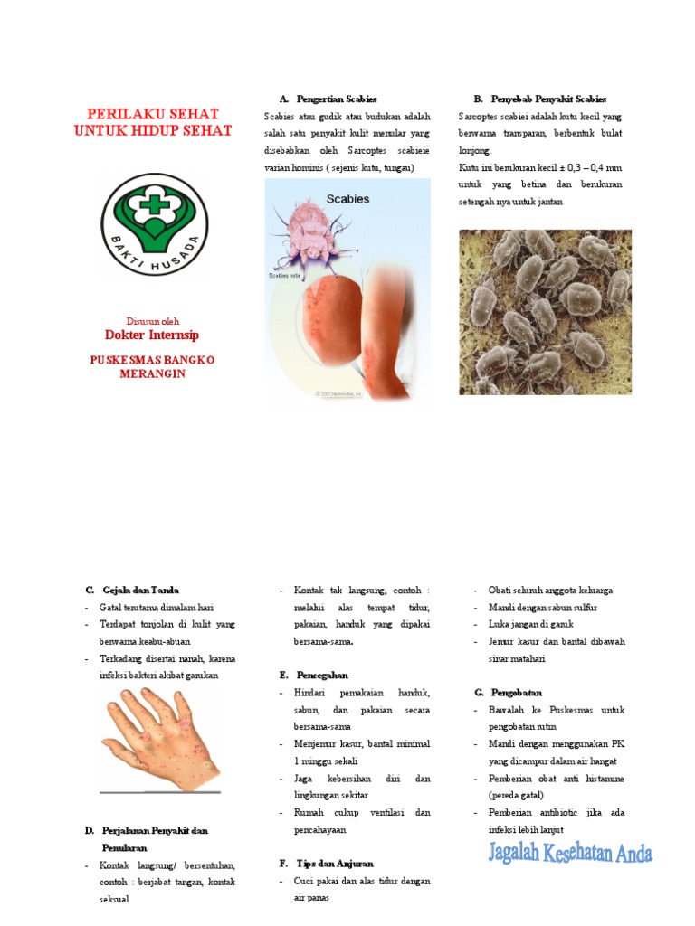 Leaflet SCABIES | PDF