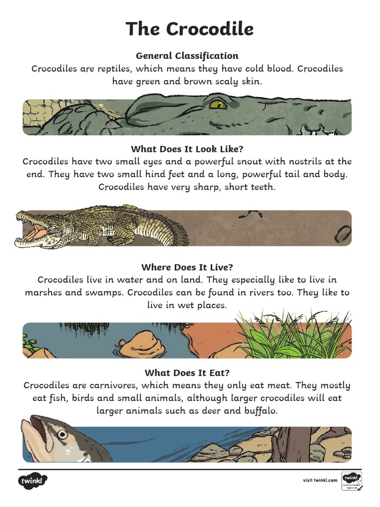 Au L 593 The Crocodile Information Report Writing Sample - Ver - 3 PDF ...
