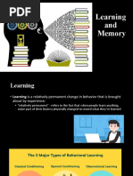 Pgi Memory Scale | PDF | Recall (Memory) | Memory